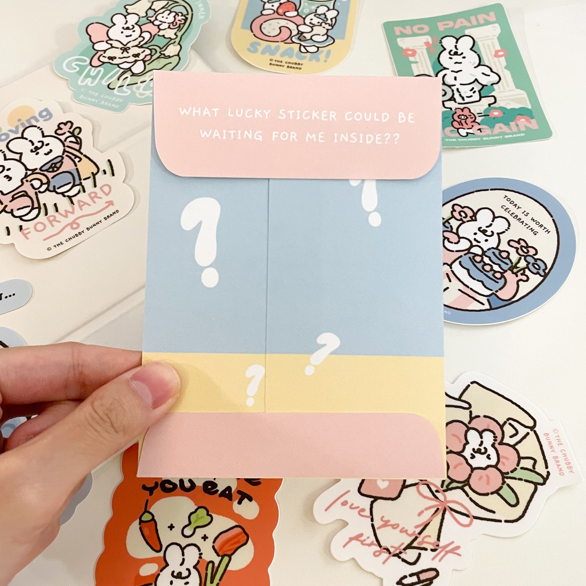 Mystery Sticker Bundle – The Chubby Bunny Brand