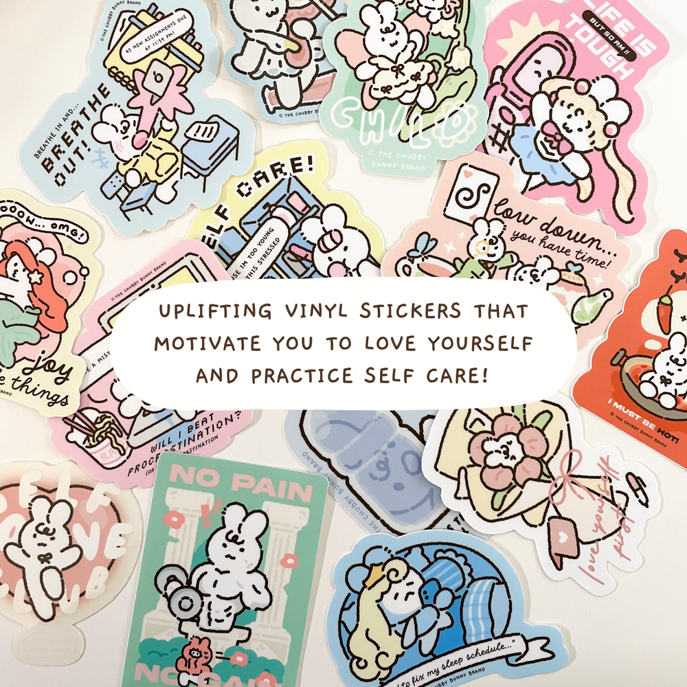 Mystery Sticker Bundle Deal – The Chubby Bunny Brand