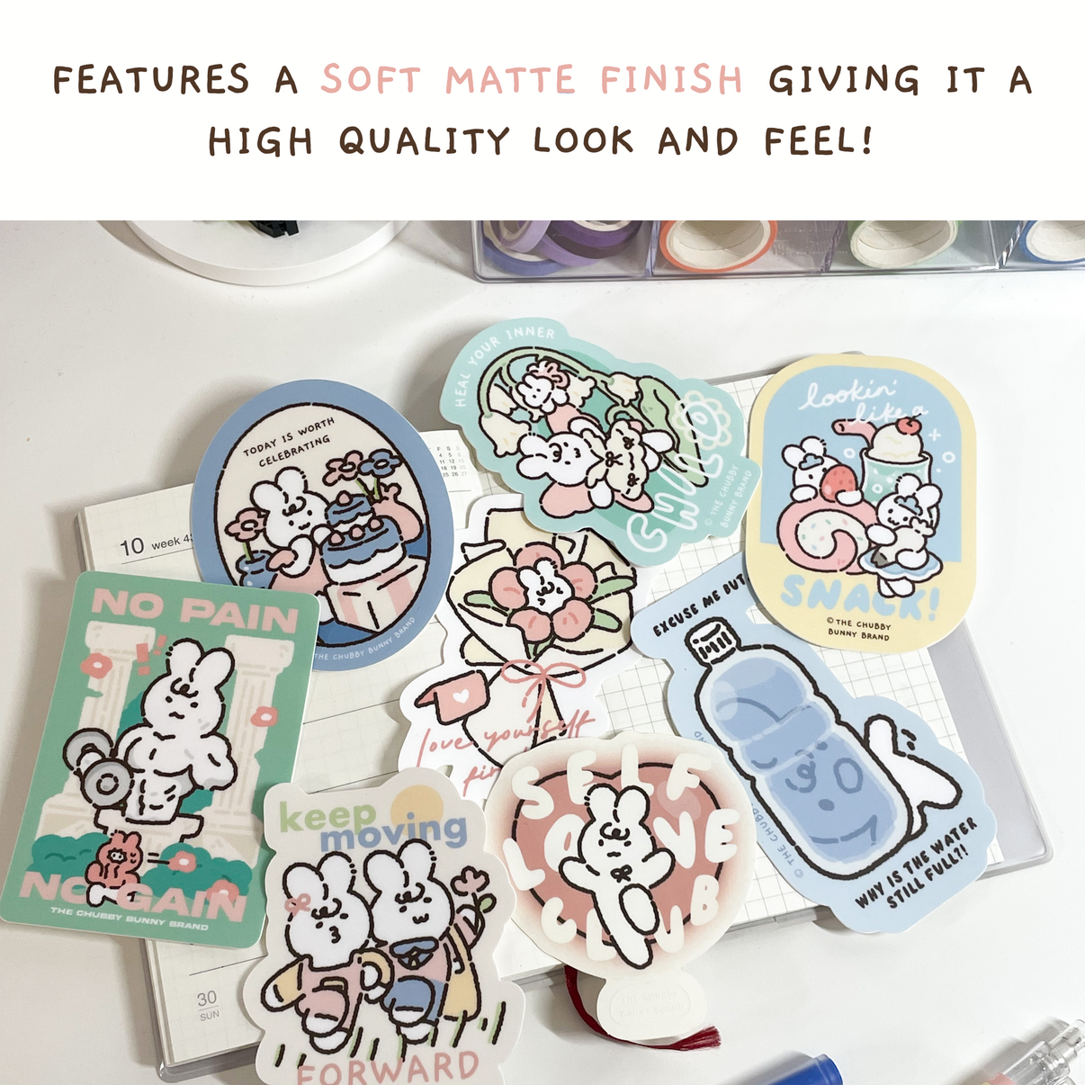 Mystery Sticker Bundle – The Chubby Bunny Brand